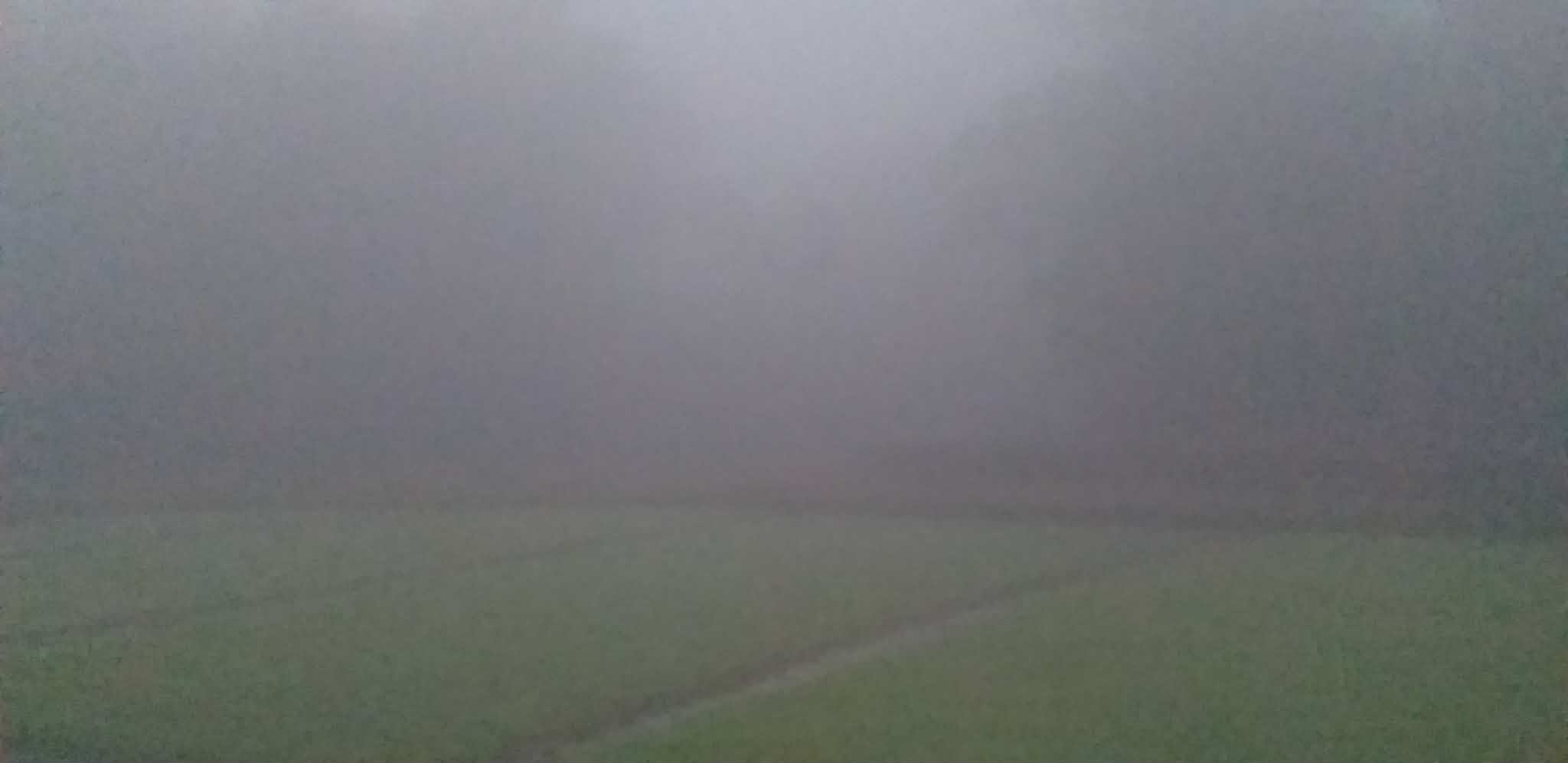 Cold wave in 17 districts, forecasted dense fog | Nation | Energy Tribune